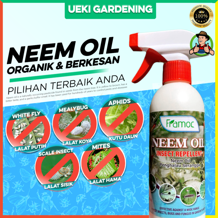 Neem Oil 320ml Racun Serangga Tanaman Pokok Imidacloprid Insecticide ...