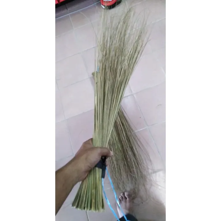 Penyapu Lidi Kampung ( Lidi Panjang & Tebal) Tradisional | Lazada