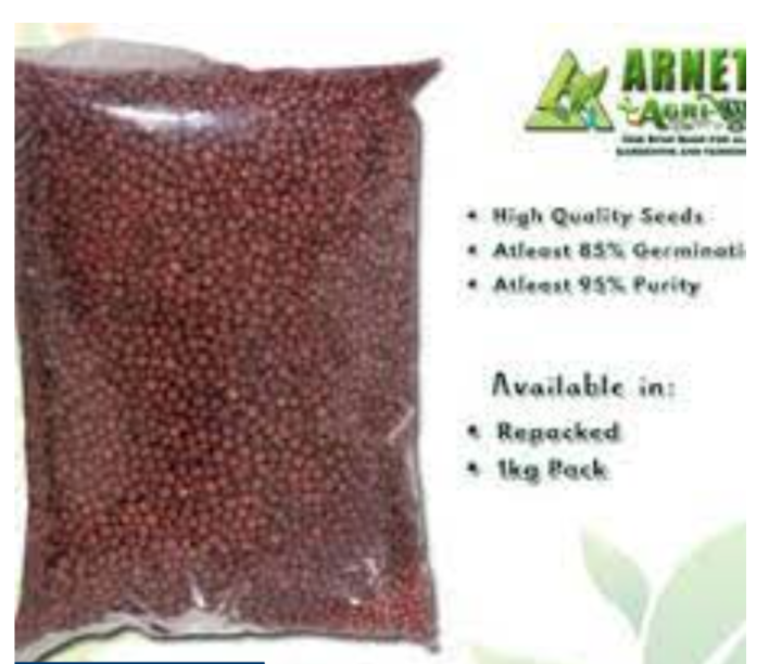 Premium Quality Raw Red Mung Monggo Beans 1 kg | Lazada PH