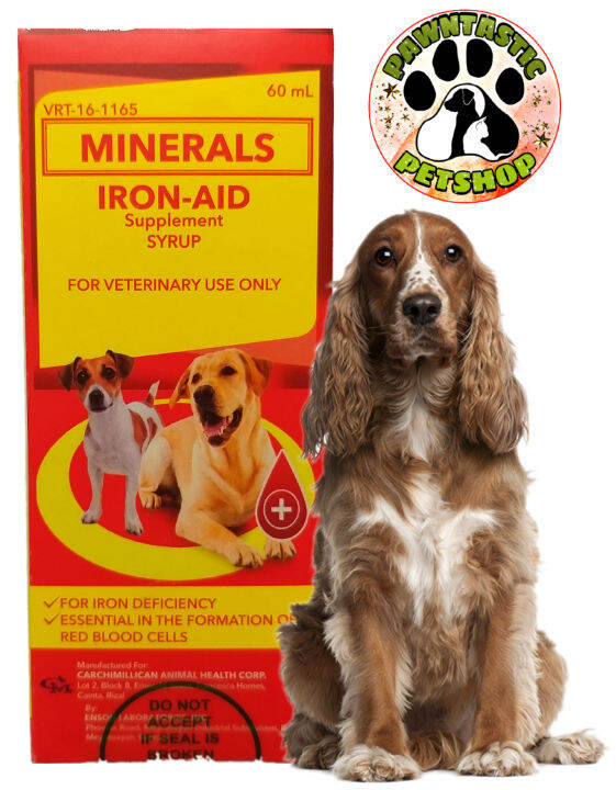 Iron-Aid Supplement Syrup 60mL | Lazada PH