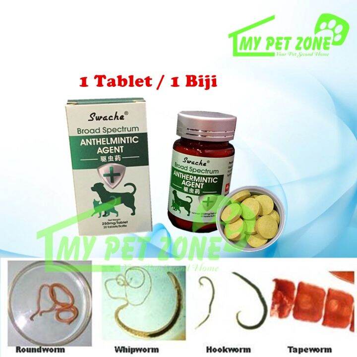 Swache Anthelmintic Agent Deworm Tablet for Dog & Cat - 1 Tablet | Lazada