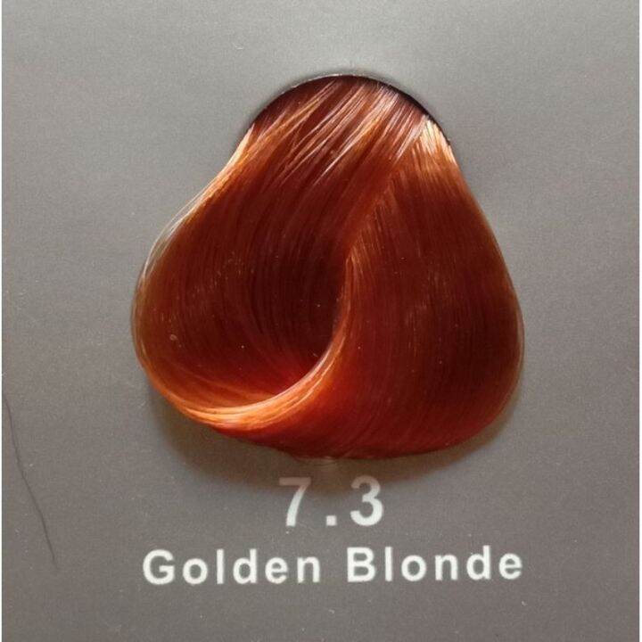 Hbc HairCraft Ammonia-free Hair Coloring Cream 7.3 Golden Blonde ...