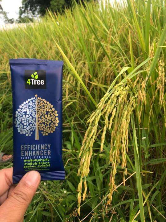 4Tree (โฟร์ทรี) 1 ซอง ใช้ได้ 15-20 ไร่ สารเสริมประสิทธิภาพ พืชโตเร็ว จากประเทศ อิสราเอล ของเเท้ ...