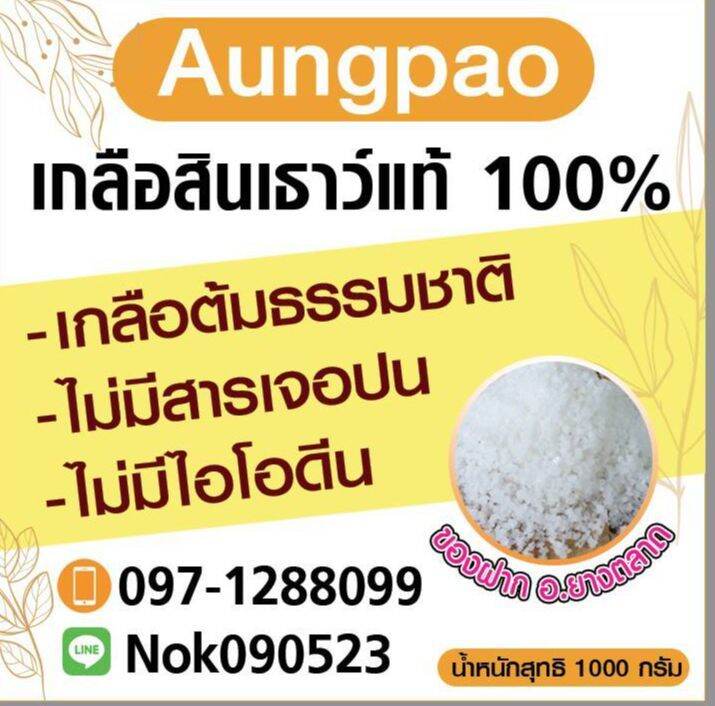 เกลือสินเธาว์ ตรา Aungpao | Lazada.co.th