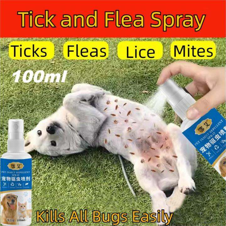 100ml Tick and Flea Spray for Dog and Cat Anti Garapata/Pulgas/Kuto ...