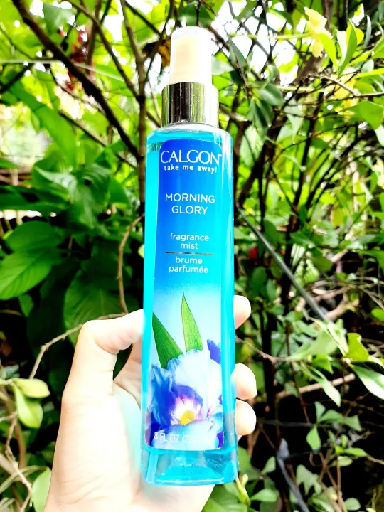 Calgon Morning Glory Body Spray for Women | Lazada PH