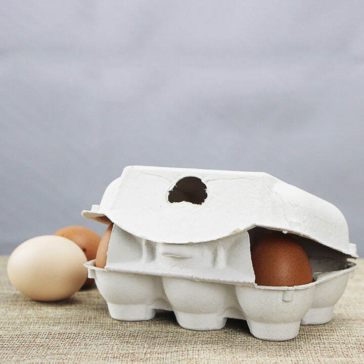 20pcs Paper Pulp Egg Storage Trays Egg Storage Cases Boxes Egg Cartons ...