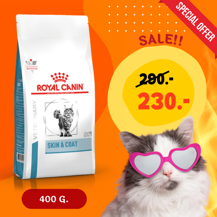 Royal Canin Cat Skin & Coat 400 g. อาหารแมวโรยัล คานิน ประกอบการรักษา ...