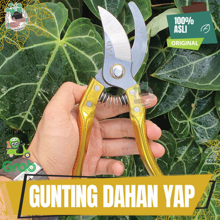 Gunting Dahan Tanaman YAP Premium Tajam Stainles Pemotong Ranting Daun ...