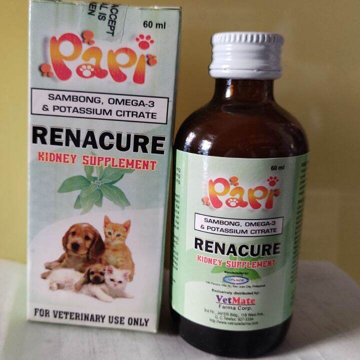 RENACURE (60ml) KIDNEY supplement | Lazada PH