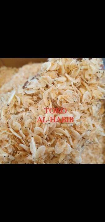 ikan udang rebon - 250 gram / rebon kasar / ikan asin rebon / ikan ...