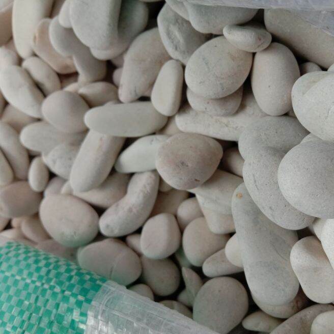 Batu kerikil putih - batu koral hias - harga jual per kilo | Lazada ...