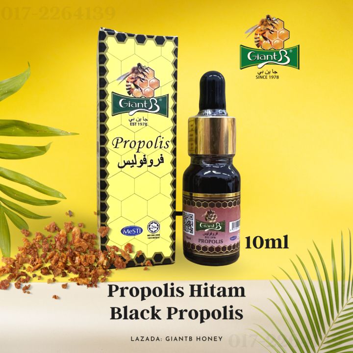 Propolis Giant B Propolis Liquid Drop No Alcohol 蜂胶精 无酒精 10ml | Lazada
