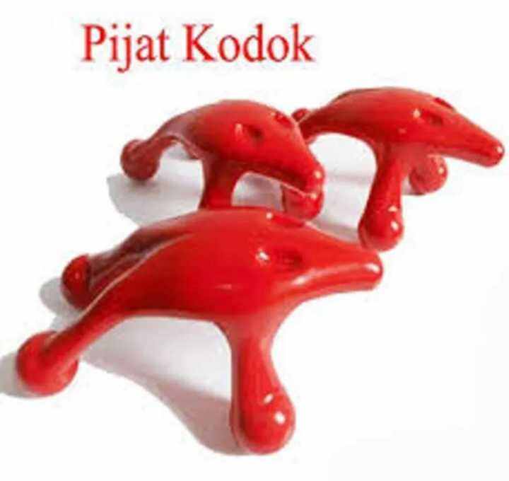 Alat Pijat Kodok Katak / Alat Reflexi Kesehatan | Lazada Indonesia