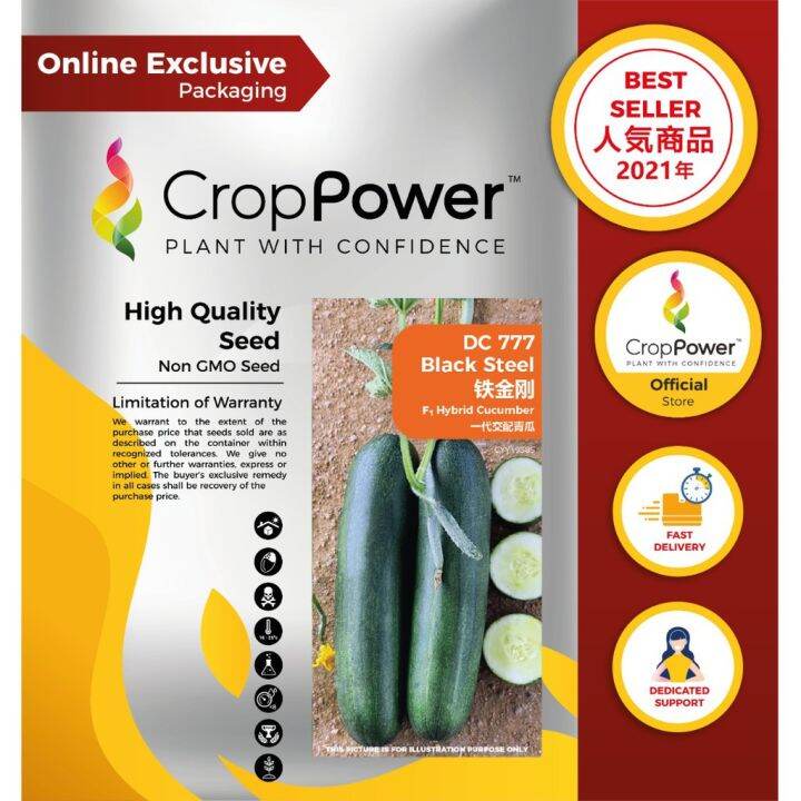 Biji Benih Timun/Cucumber Seeds / 黄瓜种子 – CROP POWER (F1 HYBRID DC777 ...