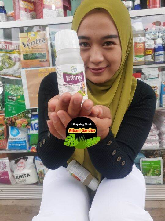 Karbit Cair Obat Pematang Buah Buahan Pisang Mangga Cabe Tomat Apel ...