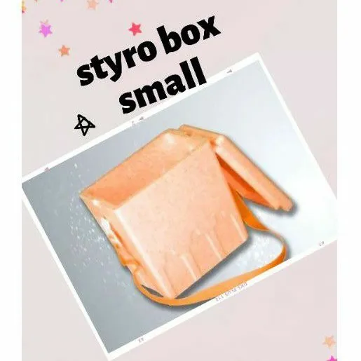 Styro Box Ice Chest (small) | Lazada PH
