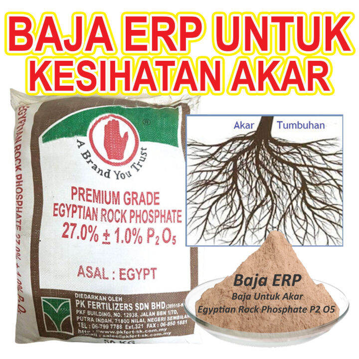 Special ERP Fertilizer For Tree Roots Phosphate Premium Grade Egypt ...