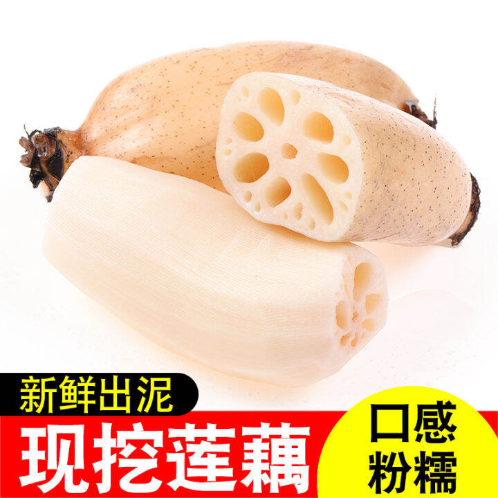 Honghu lotus root fresh postage 10 kg powder lotus root vegetables ...