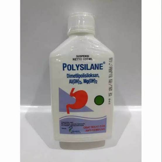 Polysilane Sirup 100ml - Obat Maag, Kembung | Lazada Indonesia