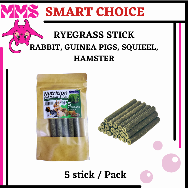Smart Choice Nutrition Pet Molar Sticks for Rabbits, Guinea Pigs ...