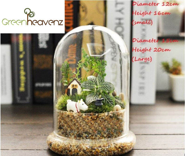 GHZ - Closed Terrarium Garden Succulent Glass Pot Pasu Kaca 微景观玻璃花盆 ...