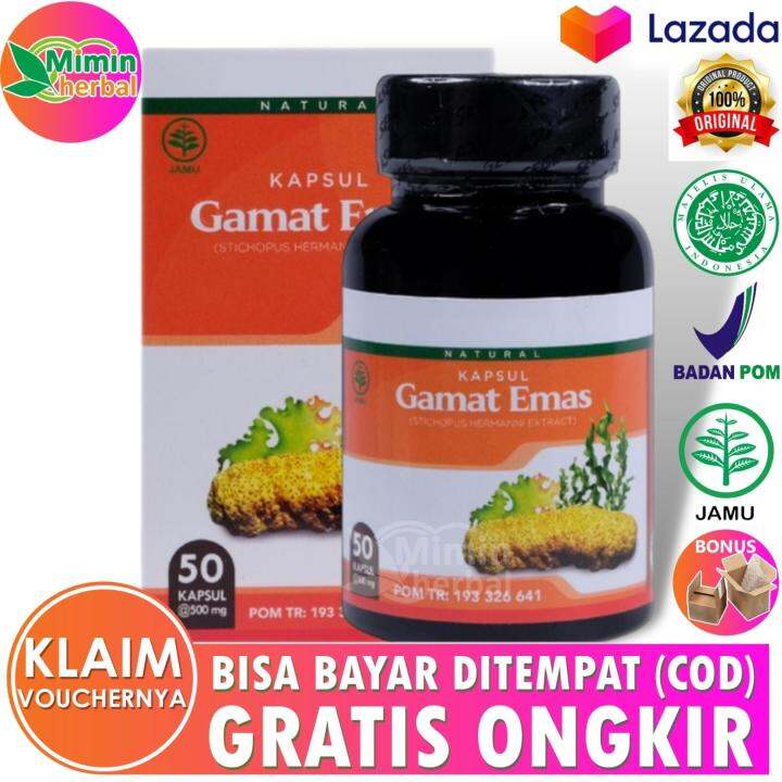 Gamat Emas Kapsul isi 50 Original BPOM Ekstrak Teripang Emas Murni ...