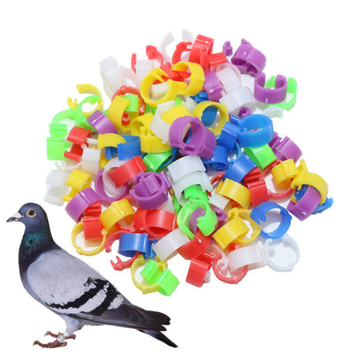 100Pcs Multiple Colors Pigeon Feet Rings Poultry Leg Bands Foot Clip ...