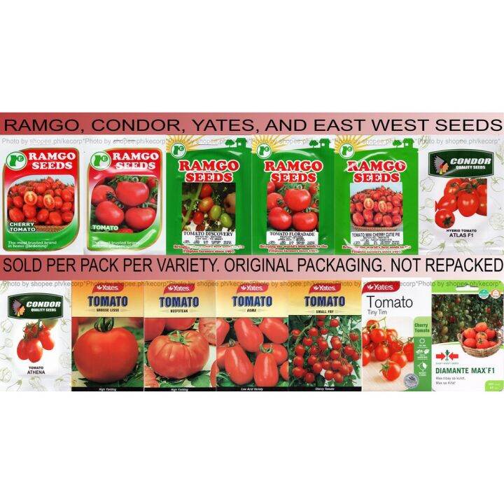 50 Seeds (buy 2 get 1 free) Ramgo Condor Yates East West Tomato Sold ...