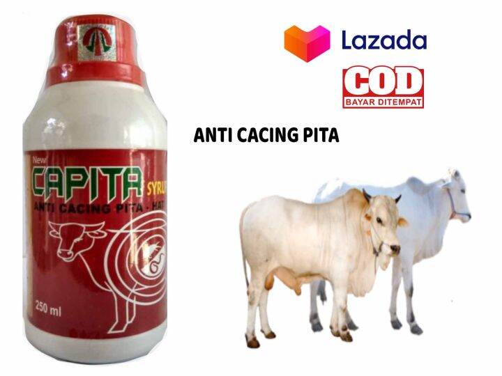Obat Cacing Pita Pada Sapi, Kerbau, Kambing, Domba - CAPITA Syrup 250ml ...