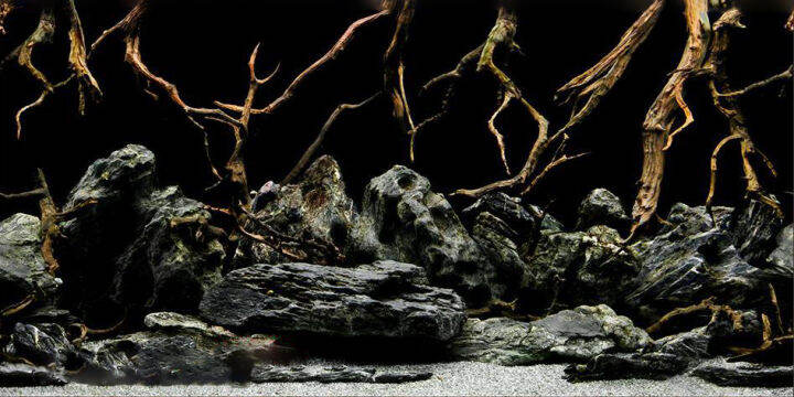 Aquarium 3d Background Sticker Fish Tank Wallpaper Decoration HD Forest ...