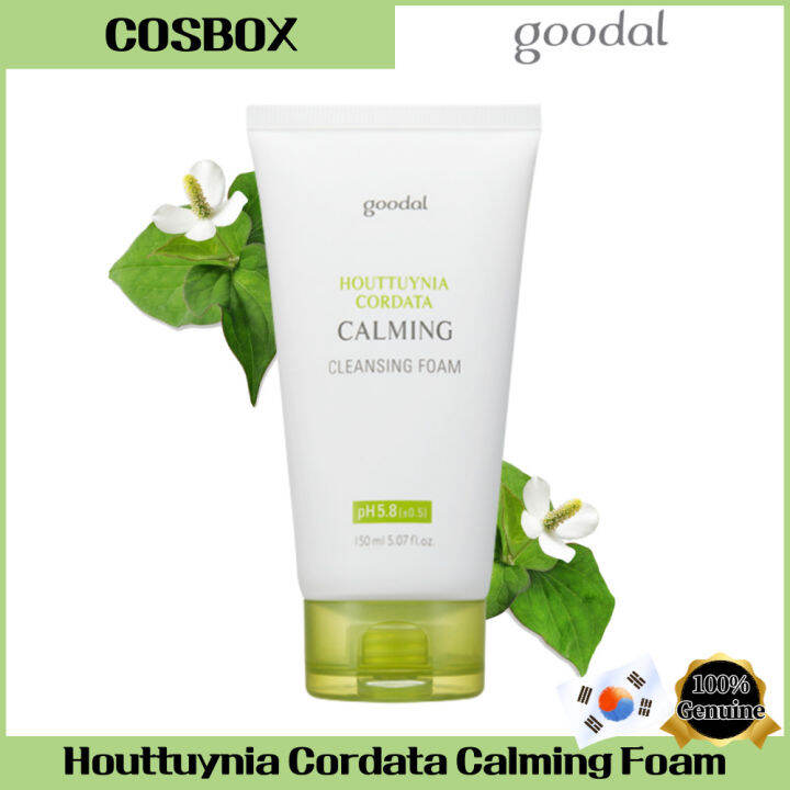 [Goodal] Houttuynia Cordata Calming Cleansing Foam 150ml pH5.8 (If you ...