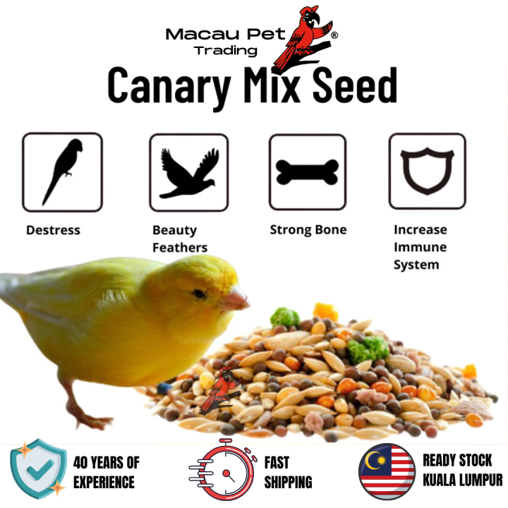 MPT Canary Mix Seed Bird Food 小鳥食物 Makanan Burung Canary Food Budgie ...