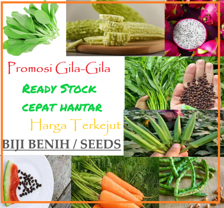 Biji Benih Sayur dan Buah Vegetables Fruit Chili Corn Plant Seeds ...