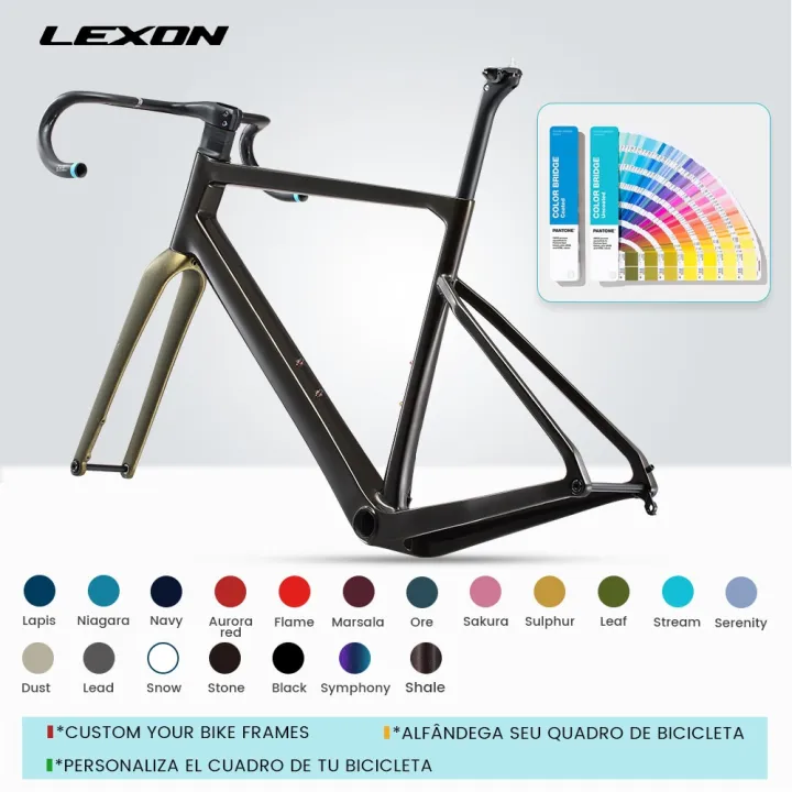 LEXON GFX Carbon Gravel Frame Customized Gravel Bike Frameset Disc ...