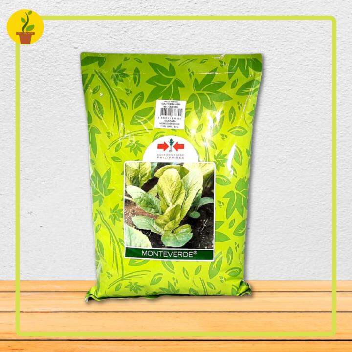 Mustaza Seeds (Monteverde OP Variety) [1,000 gms. Bag] - Eastwest By ...