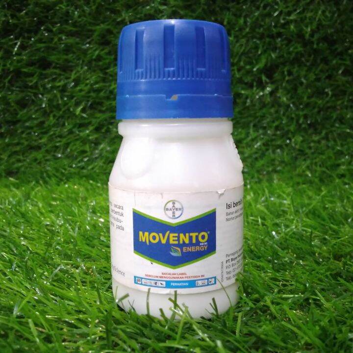 Movento 240SC 50ml/ Insektisida sistemik, racun kontak / untuk ...