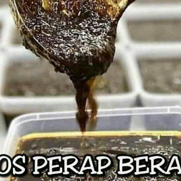 Sos perapan BBQ | Lazada
