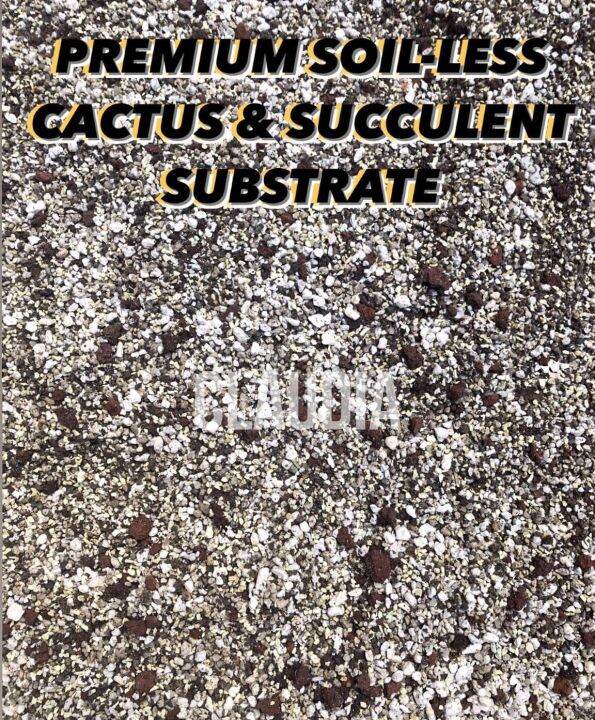 Premium Soil-Less Cactus & Succulent Substrate 1 kg per pack | Lazada PH