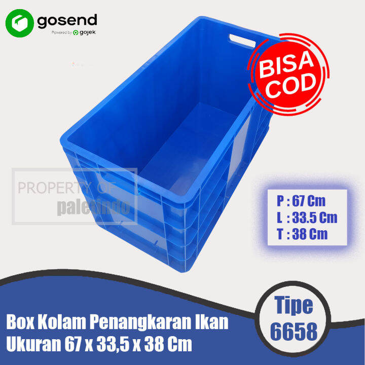 Kolam Box Ikan / Penangkaran Ikan / Kura Tipe 6658 Ukuran 67 x 33,5 x ...