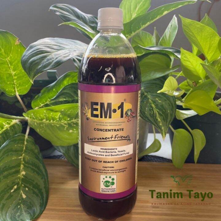 Gardening Tools Seeds TanimTayo EM1 Microbial Concentrate 1Liter ...