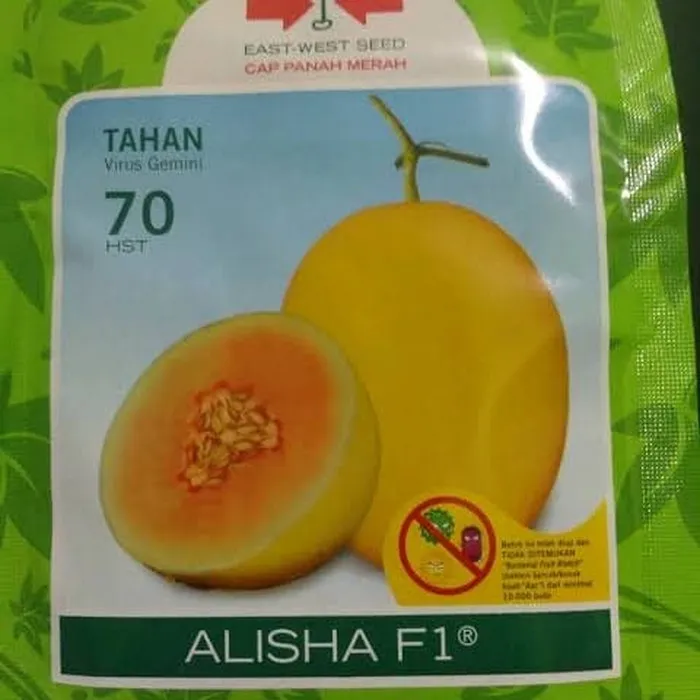 Benih Resmi - Melon Golden Alisha TAVI | Lazada Indonesia