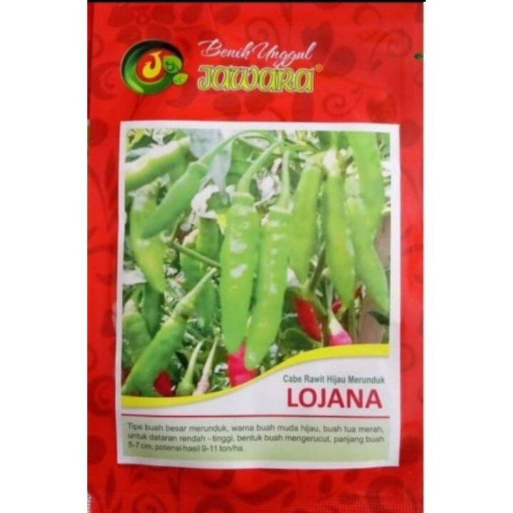 Benih cabe rawit hijau merunduk LOJANA isi 10 Gr Produk benih unggul ...