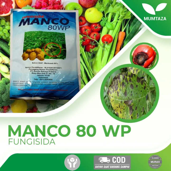 MANCO 80WP 1 KG || Fungisida Mencegah dan megendalikan busuk daun pada ...
