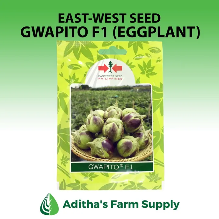 East-West Seed: Eggplant/Talong Hybrid Varieties (Calixto, Amor, Fortuner, Banate King, Gwapito ...