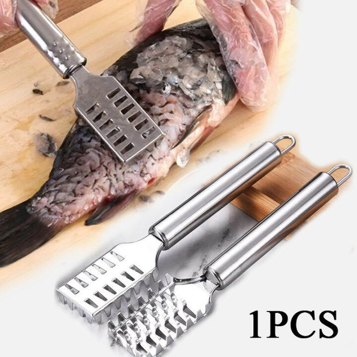Alat Pengikis Sisik Ikan Sikat Pembersih Cepat Stainless Tahan Karat ...