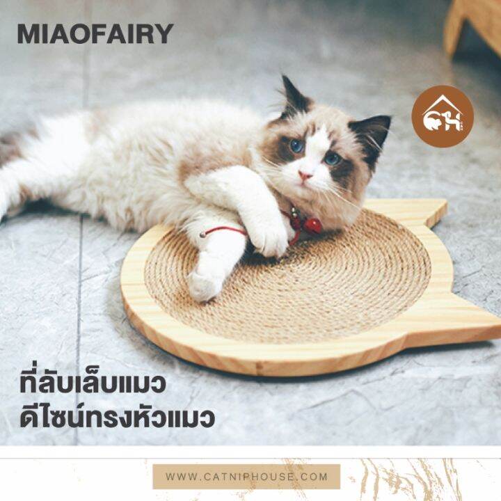 [ของแท้]🔥ถูกสุด! พร้อมส่ง🔥MIAOFAIRY ที่ลับเล็บแมว ดีไซน์ทรงหัวแมว | Lazada.co.th