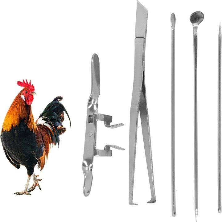 （Philippines Local inventory） ﺴ 5Pcs Castration Capon Tools Farm Cock ...
