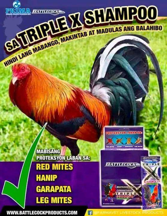 [FCR AGRIVET] BATTLECOCK Triple X Shampoo 10ml for Gamefowl / Para sa ...