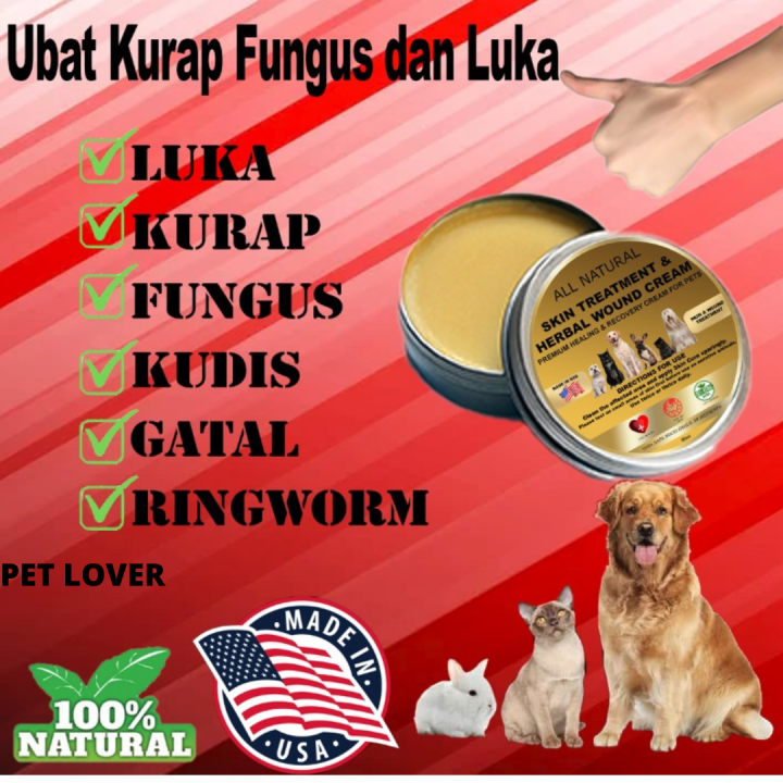 Cream kulit herba untuk haiwan ubat kurap kucing - Anti fungus wound ...